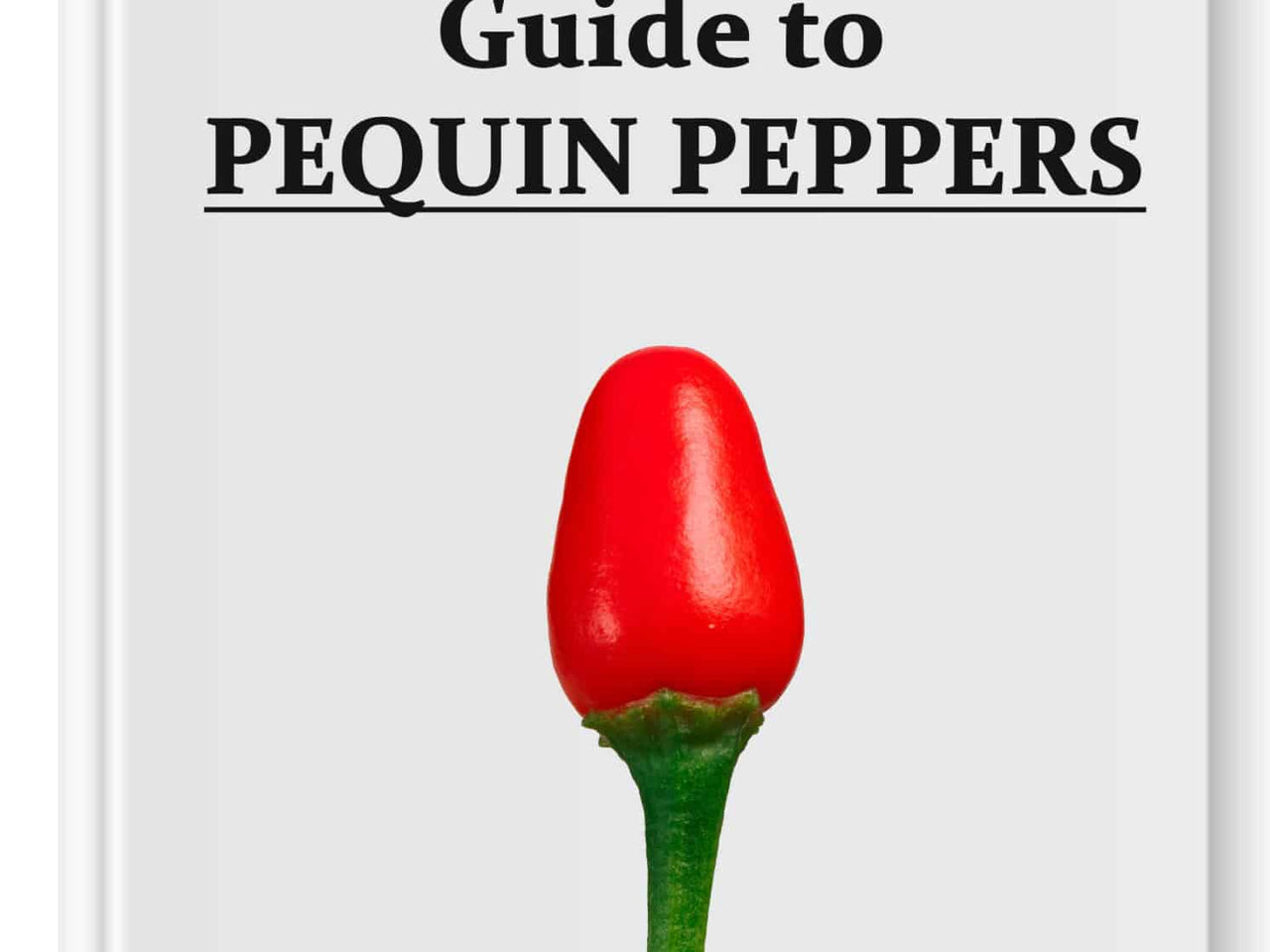 All You Need to Know About Wiri Wiri Peppers – Sonoran Spice